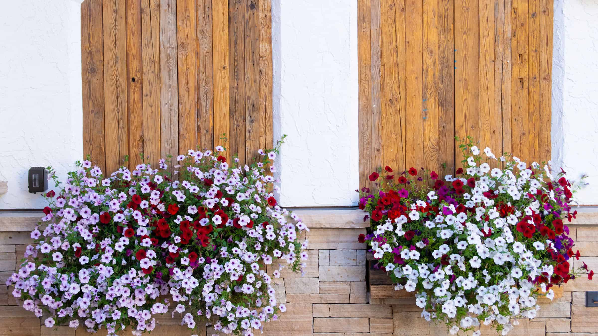 Vail Village, Things to do in Vail Colorado | Sonnenalp Vail